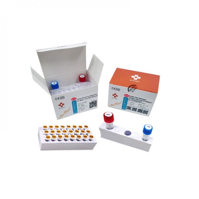 PCR Feline Herpesvirus Test Probe Kits Cat Test Chlamydia Fluorescence