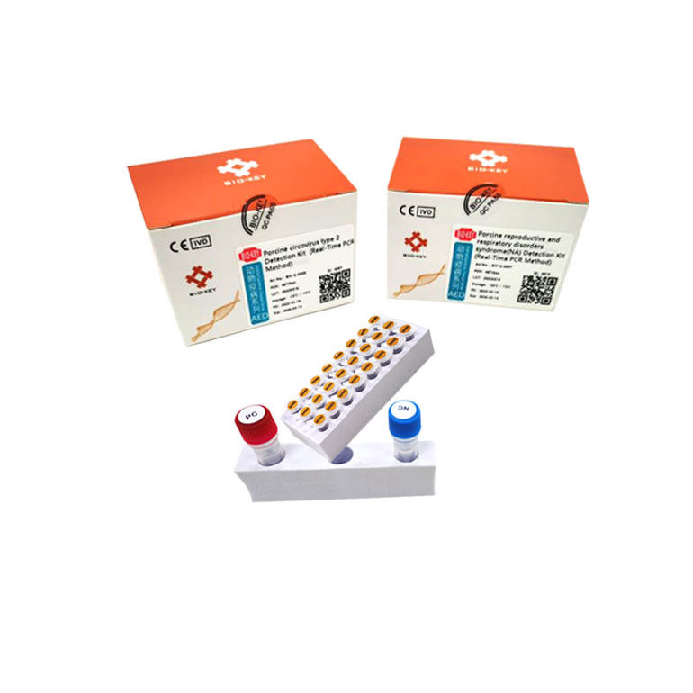 Porcine Circovirus Type 2 Porcine Dna Test Kit PCR Nucleic Acid Test ...