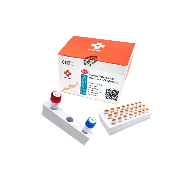 PCR T Foetus Cat DNA Test Kit Taqman RT Nucleic Acid Testing Kit ISO 13485