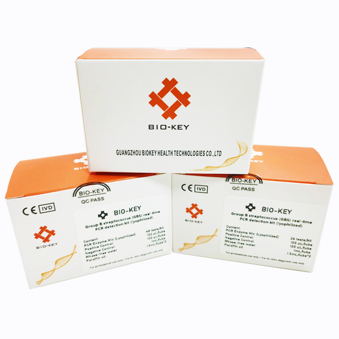 PCR Group B Streptococcus GBS STD STI Test Kit