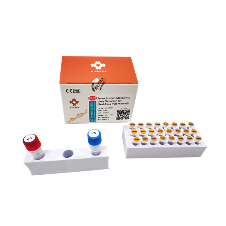 Quantitative Feline FIV Test Kit Immunodeficiency Feline Cat Test PCR