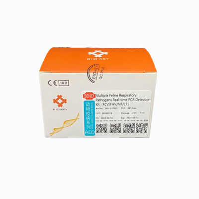 PCR Feline Herpesvirus Test Probe Kits Cat Test Chlamydia Fluorescence