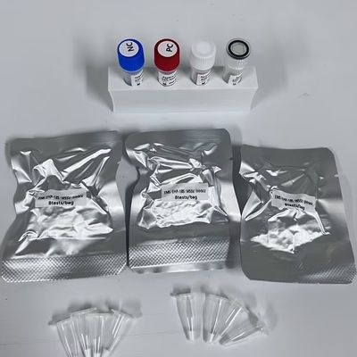 Real Time Pcr Bacteria Test Kit Vibrio Test Kit HEX Fluorescence QPCR ...