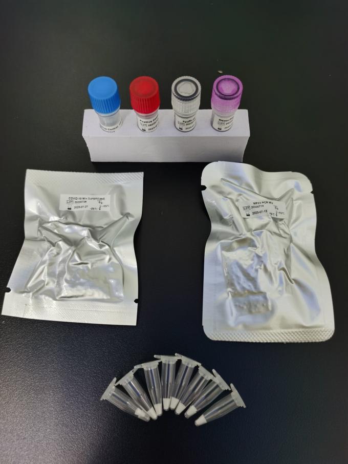 STD STI UP UU Real Time PCR Detection Kit 48 Tests/Kit Lyophilized