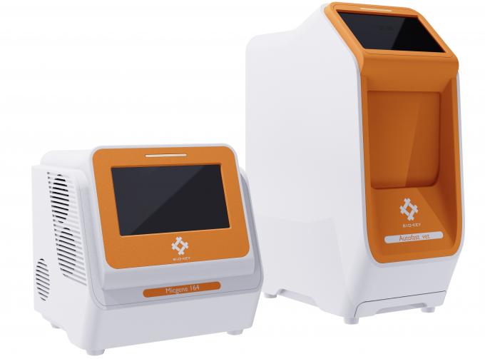 Automated Portable QPCR Machine One Step Rt Pcr 9kg Non Nucleic Acid ...